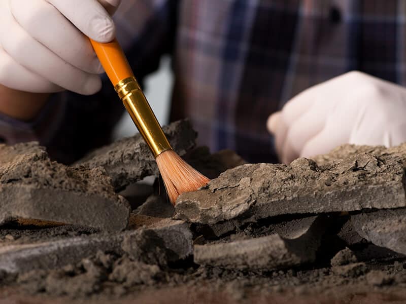 Statement of Heritage Impacts (SoHI) Assessments